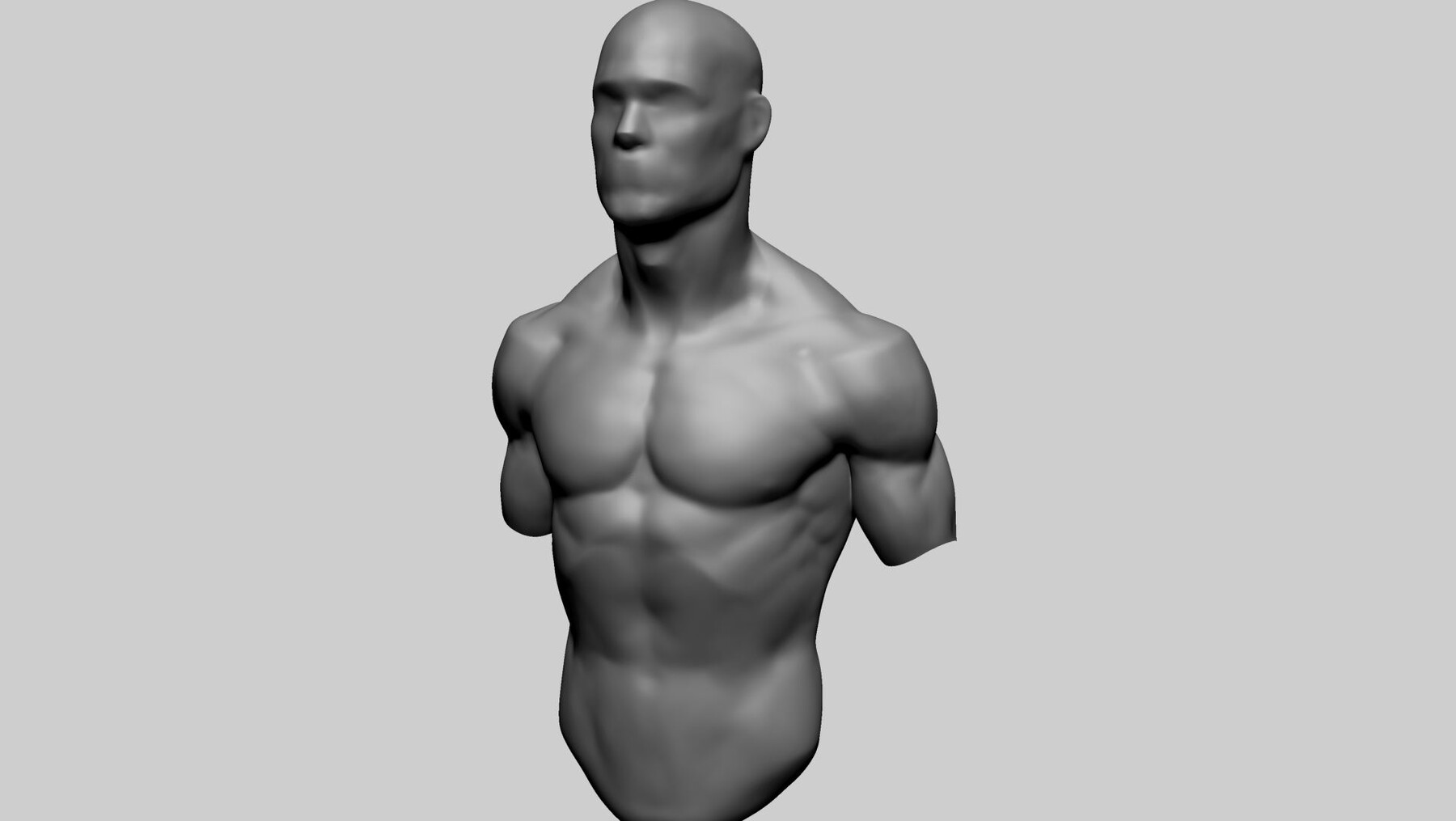 ArtStation - Male Upper Body A | Resources