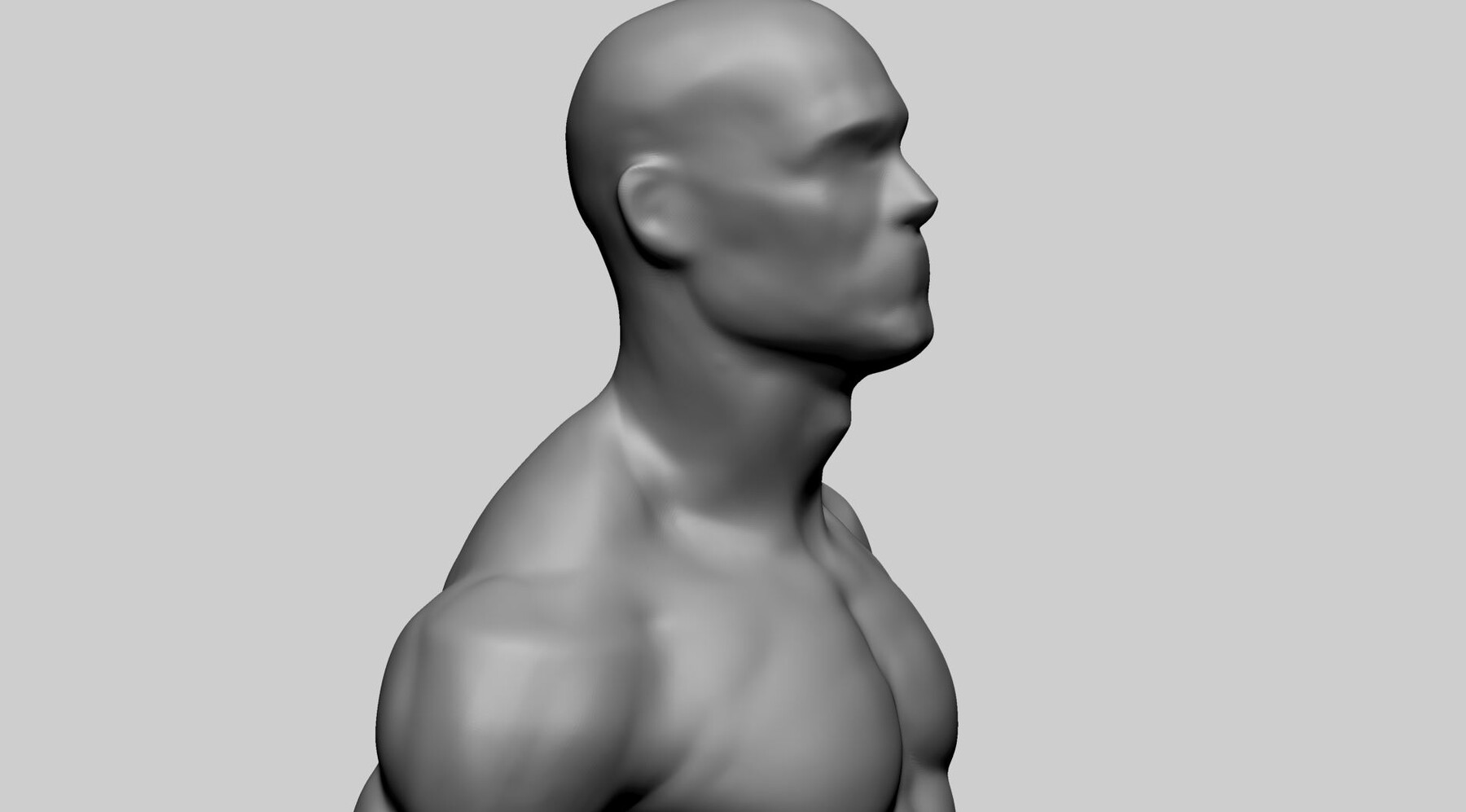 ArtStation - Male Upper Body A | Resources