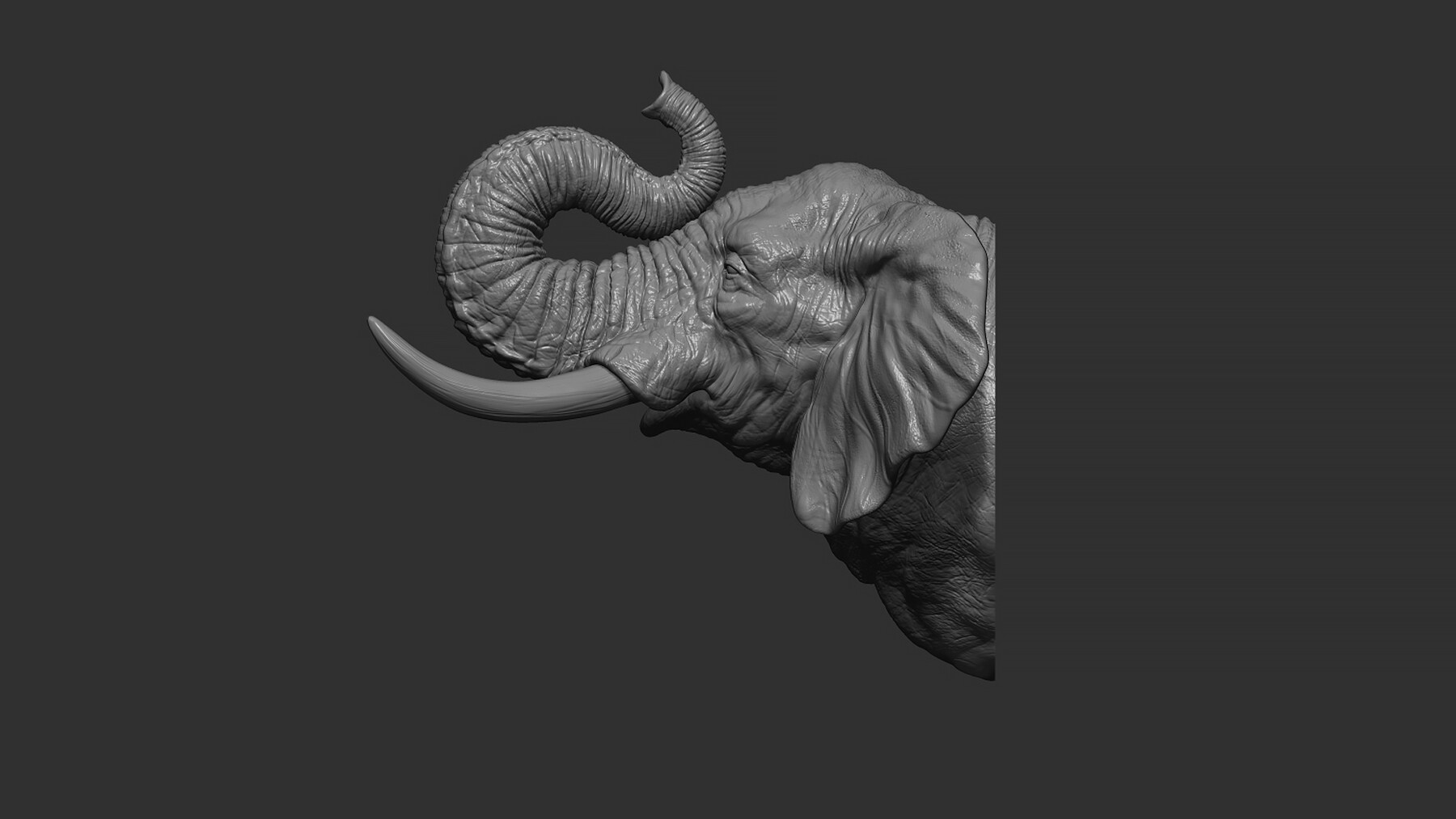 ArtStation - Elephant raised its trunk | Resources