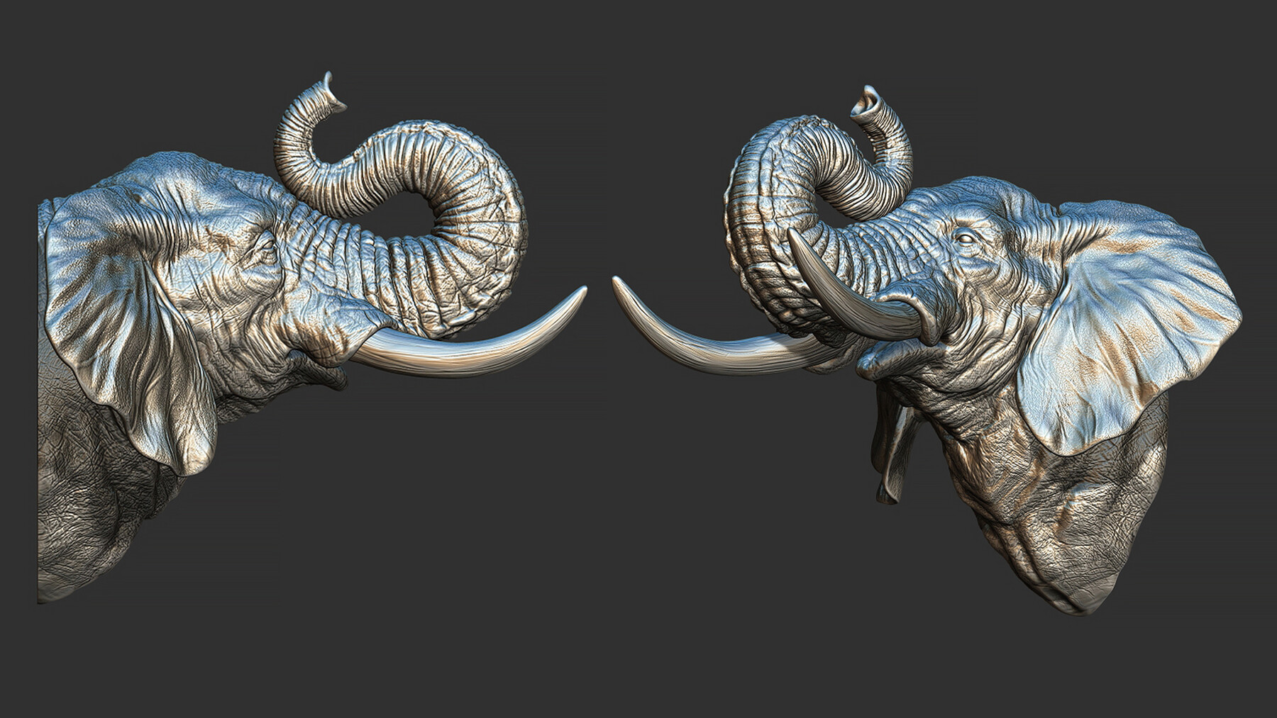 ArtStation - Elephant raised its trunk | Resources