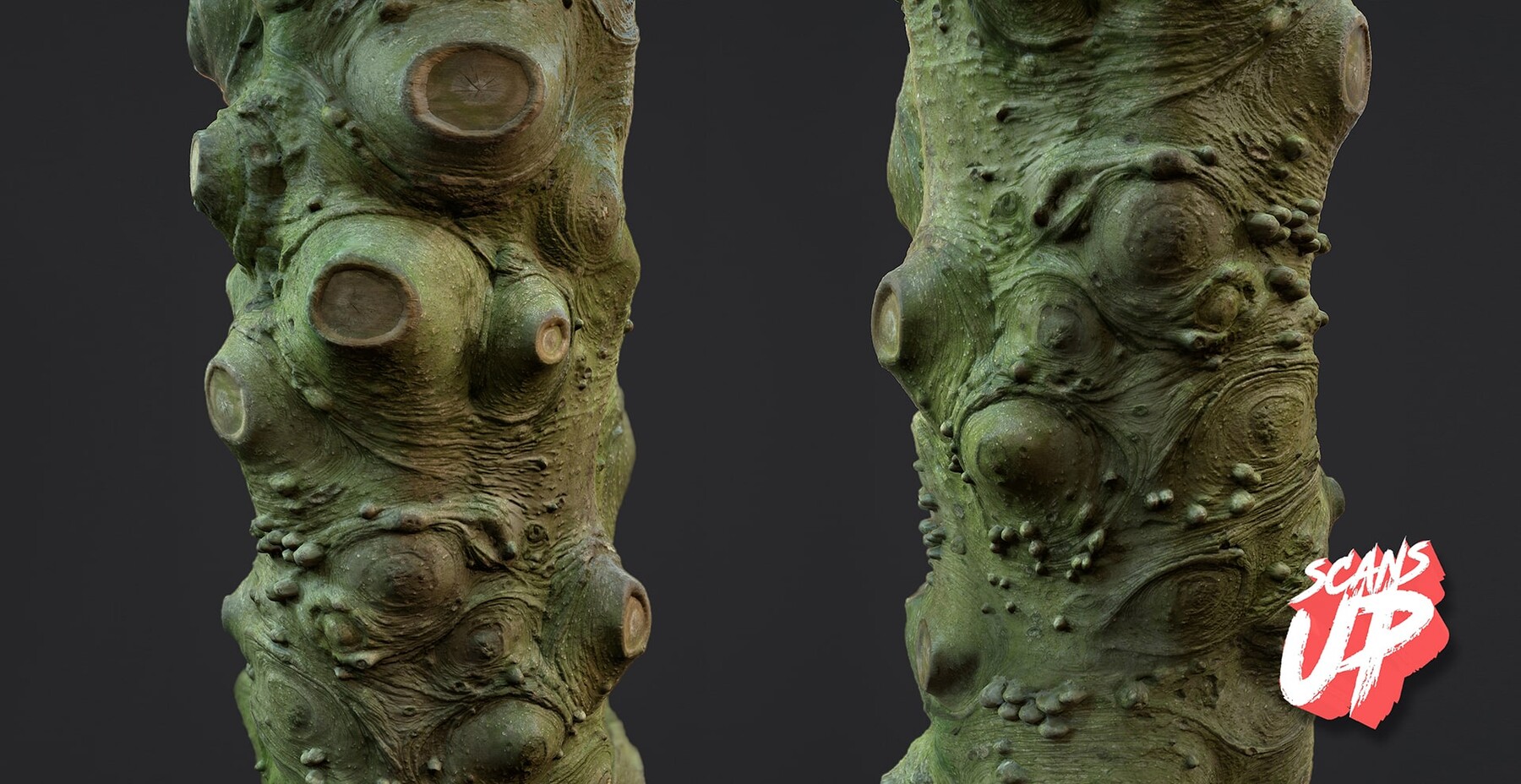 ArtStation - ScansUp: Tree Bark Pack 02 - Photogrammetry Materials - Free! | Game Assets
