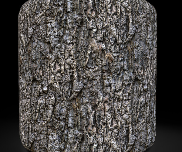 ArtStation - Wood Bark Texture 4K Vol 1 | Resources