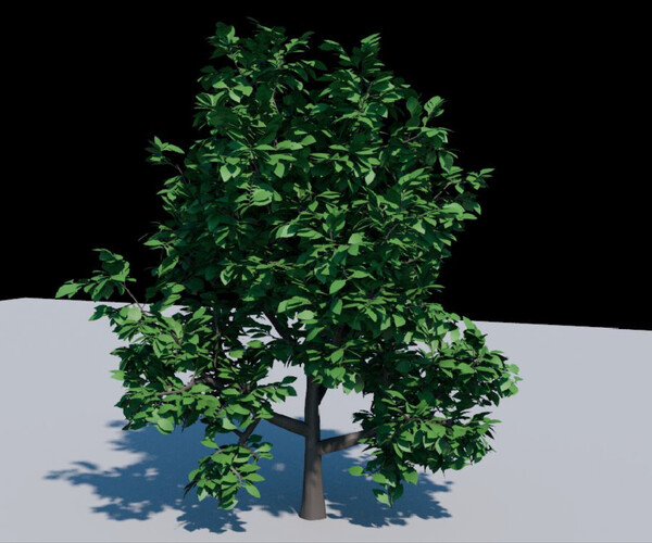 ArtStation - Low Poly Tree Collection | Resources