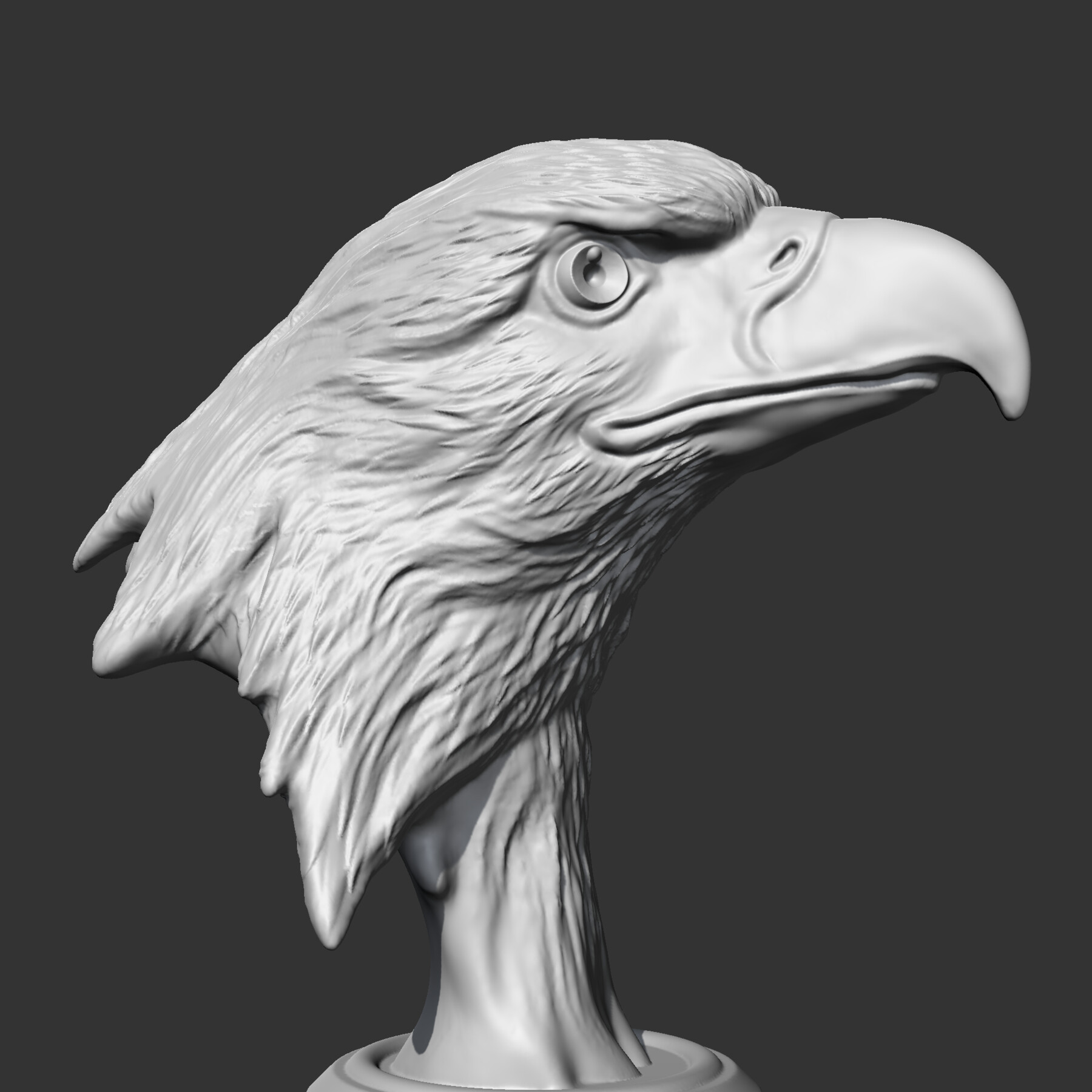 ArtStation - Bald Eagle Head AM07 3D print model | Resources