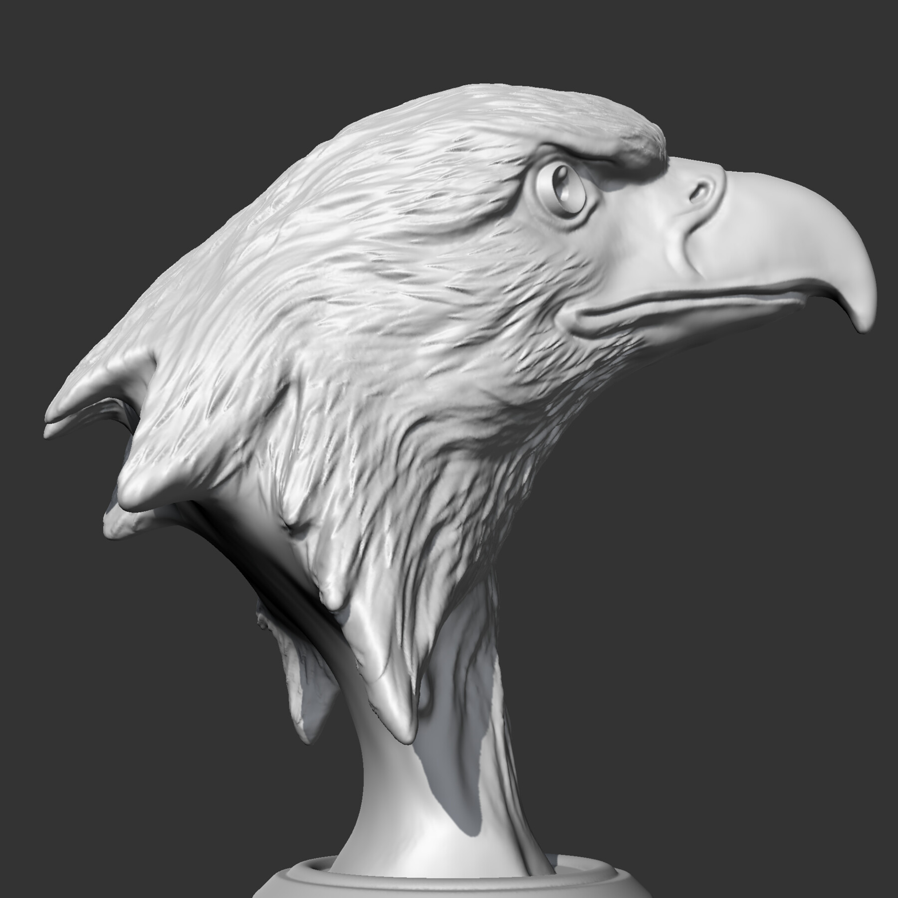 ArtStation - Bald Eagle Head AM07 3D print model | Resources