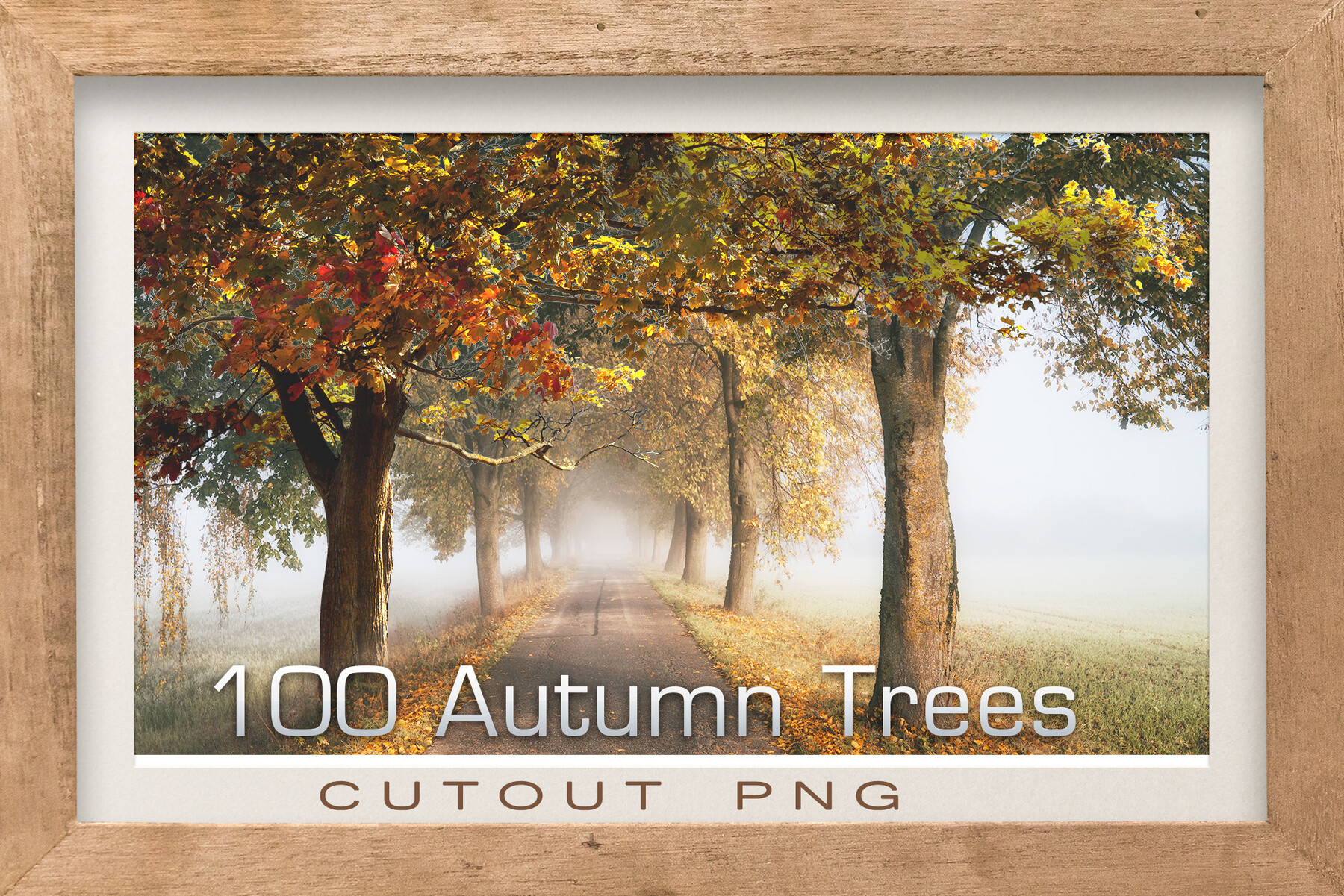 ArtStation - 5000+ Photo Overlays MEGA Bundle, Autumn Spring Forest ...