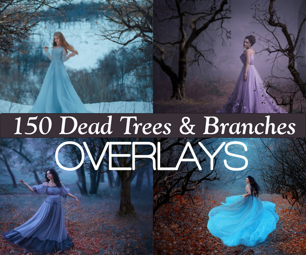 ArtStation - 5000+ Photo Overlays MEGA Bundle, Autumn Spring Forest ...