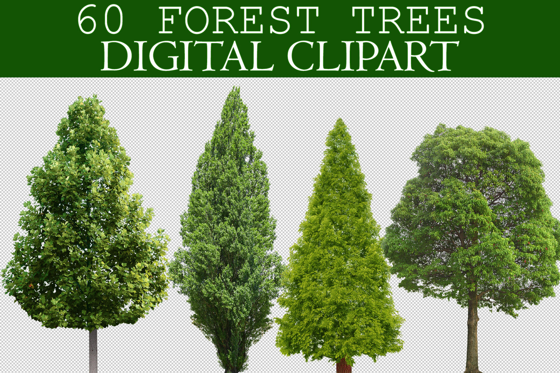 ArtStation - 5000+ Photo Overlays MEGA Bundle, Autumn Spring Forest ...