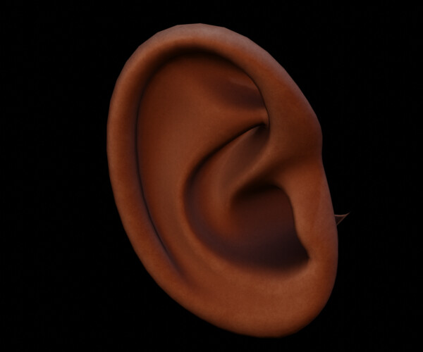 ArtStation - EAR LOW POLY GAME READY 3D MODEL | Game Assets