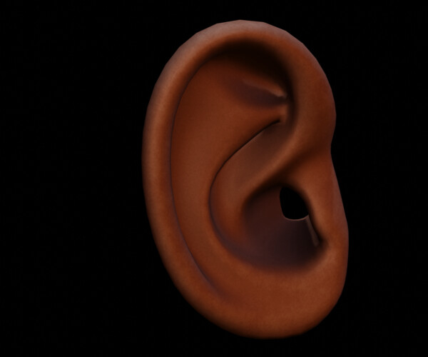 ArtStation - EAR LOW POLY GAME READY 3D MODEL | Game Assets