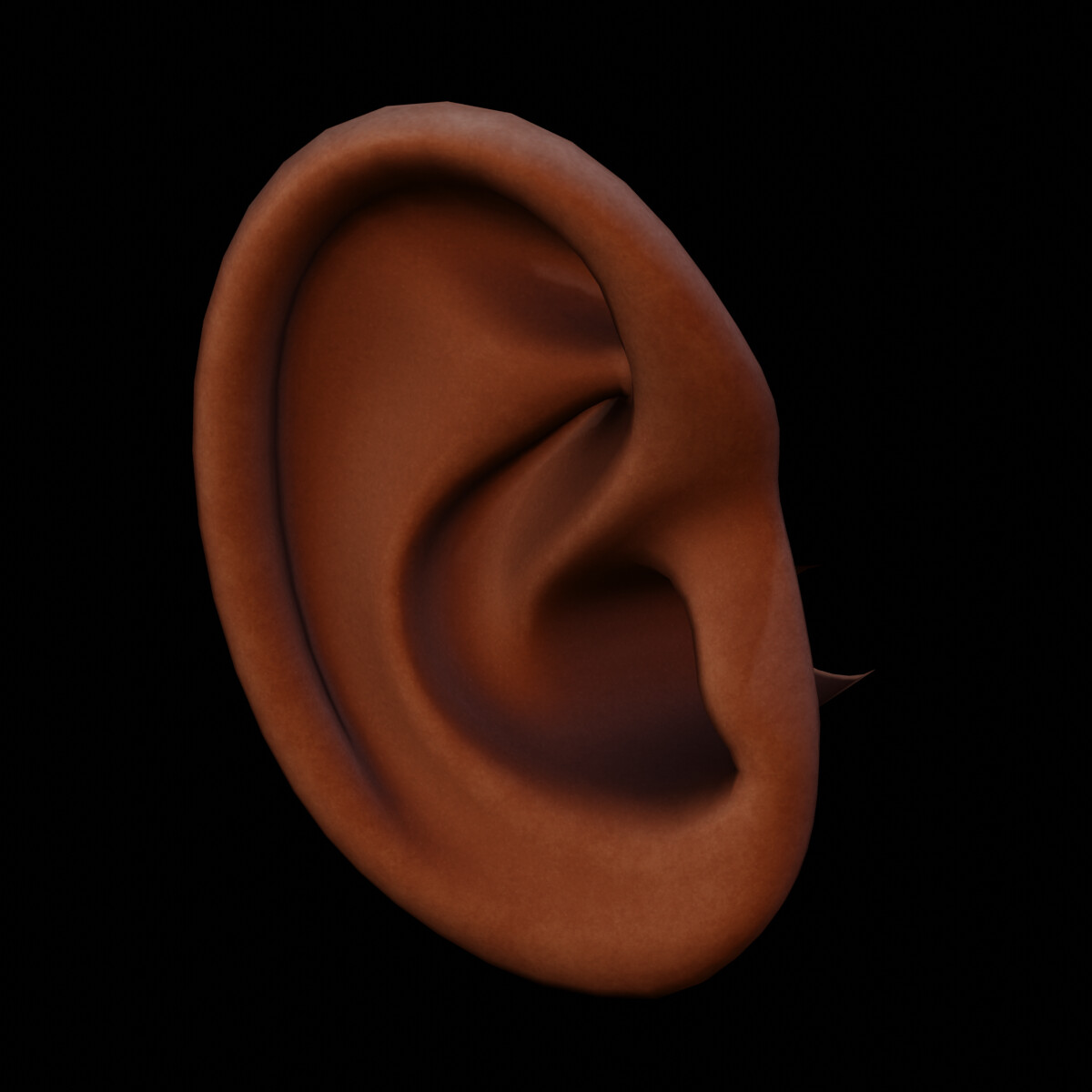 ArtStation - EAR LOW POLY GAME READY 3D MODEL | Game Assets