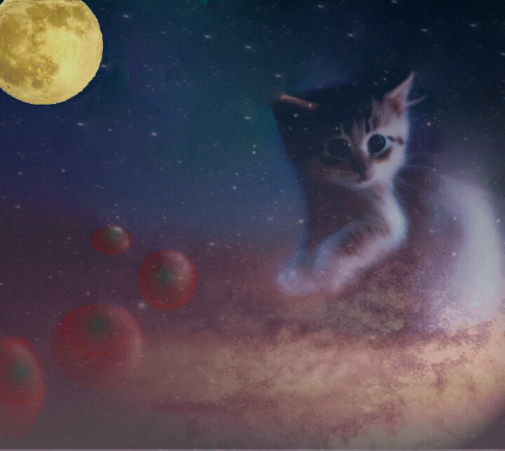 ArtStation - Moonbeams and Kittens | Artworks