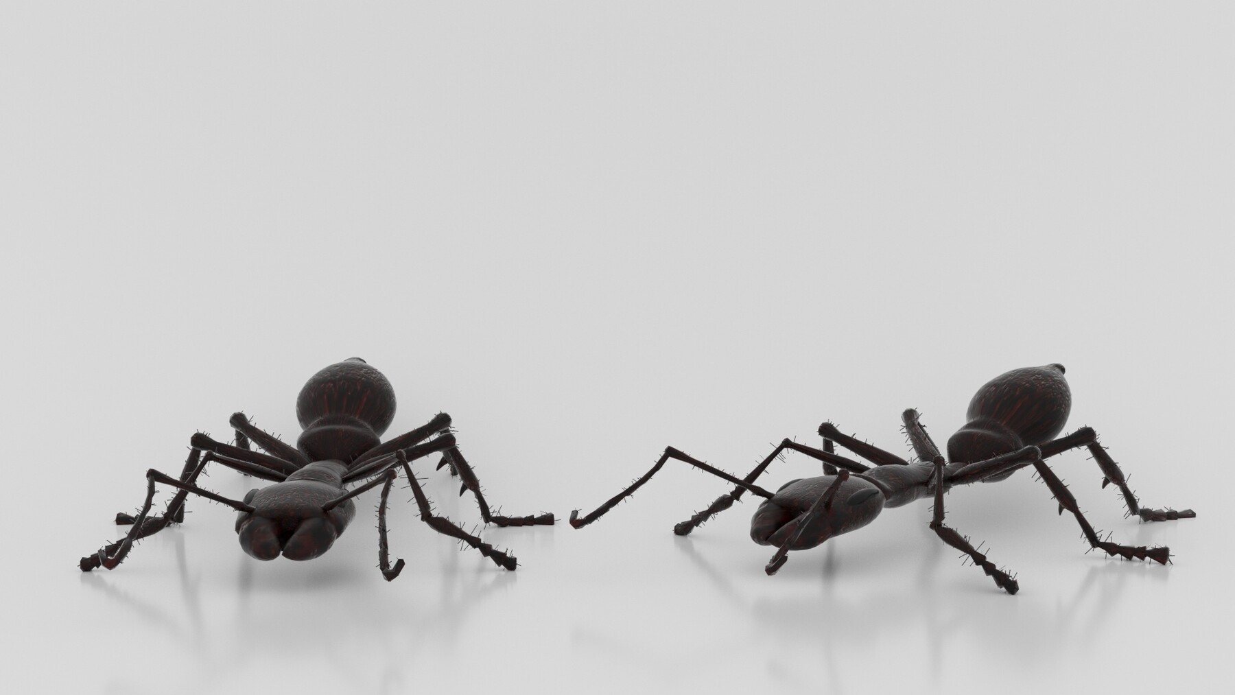 ArtStation - 3D Model of an Ant | Resources