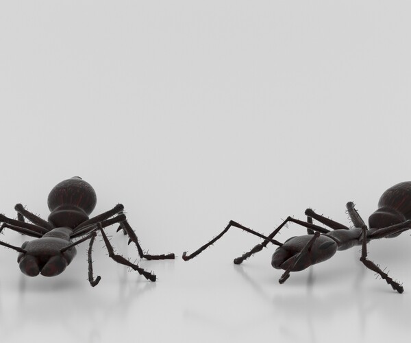 ArtStation - 3D Model of an Ant | Resources