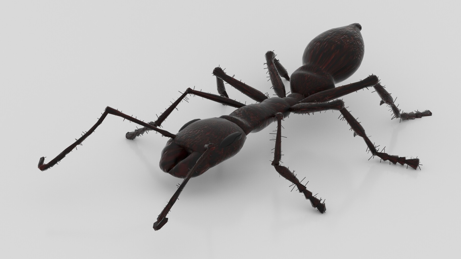 ArtStation - 3D Model of an Ant | Resources
