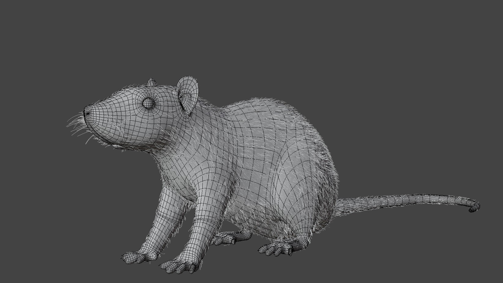 ArtStation - Rat Rigged | Game Assets