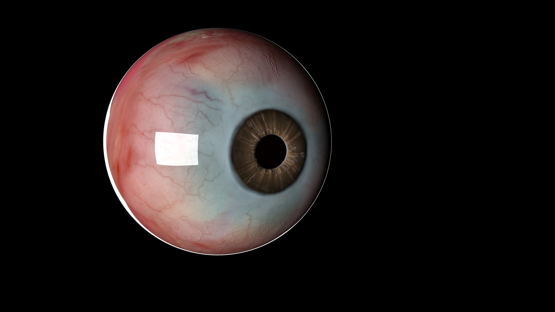 ArtStation - Photo realistic eye | Resources