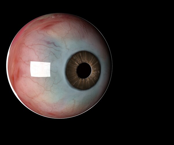 ArtStation - Photo realistic eye | Resources