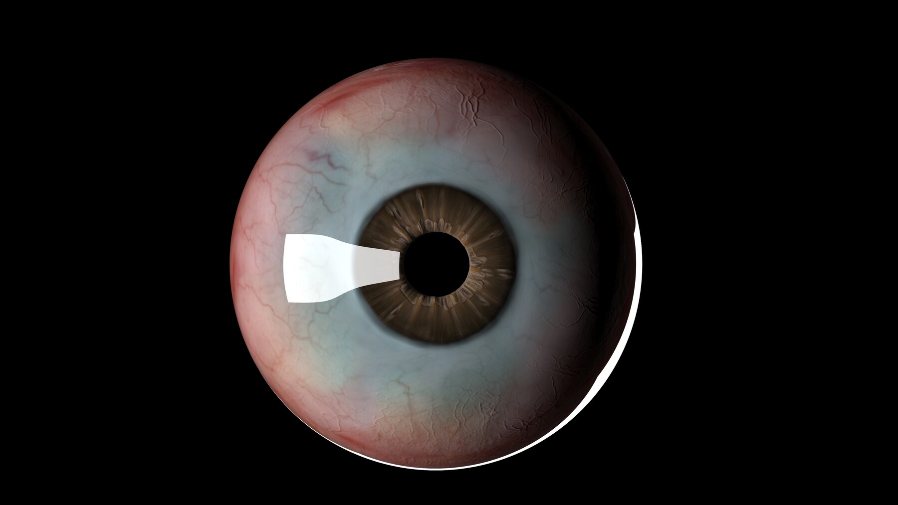 ArtStation - Photo realistic eye | Resources