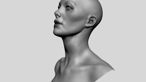 ArtStation - 10 Female Head Models | Resources
