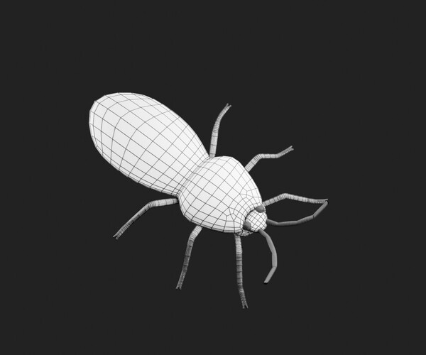 ArtStation - Bug 3D Model | Resources