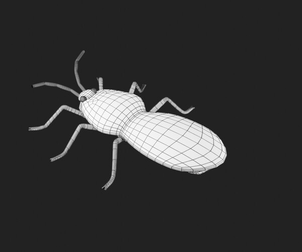 ArtStation - Bug 3D Model | Resources