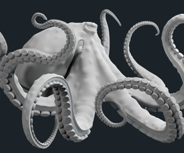 ArtStation - Octopus Base Mesh | Game Assets