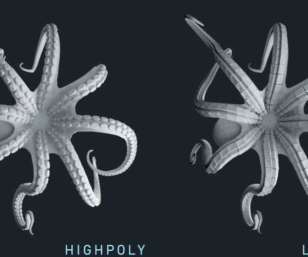 ArtStation - Octopus Base Mesh | Game Assets