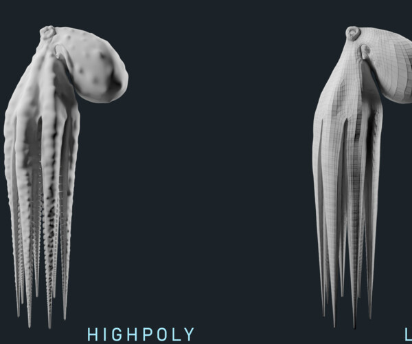 ArtStation - Octopus Base Mesh | Game Assets