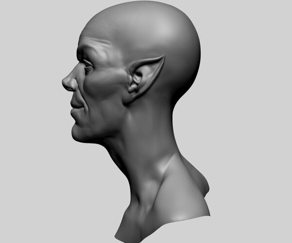 ArtStation - Male Head I | Resources