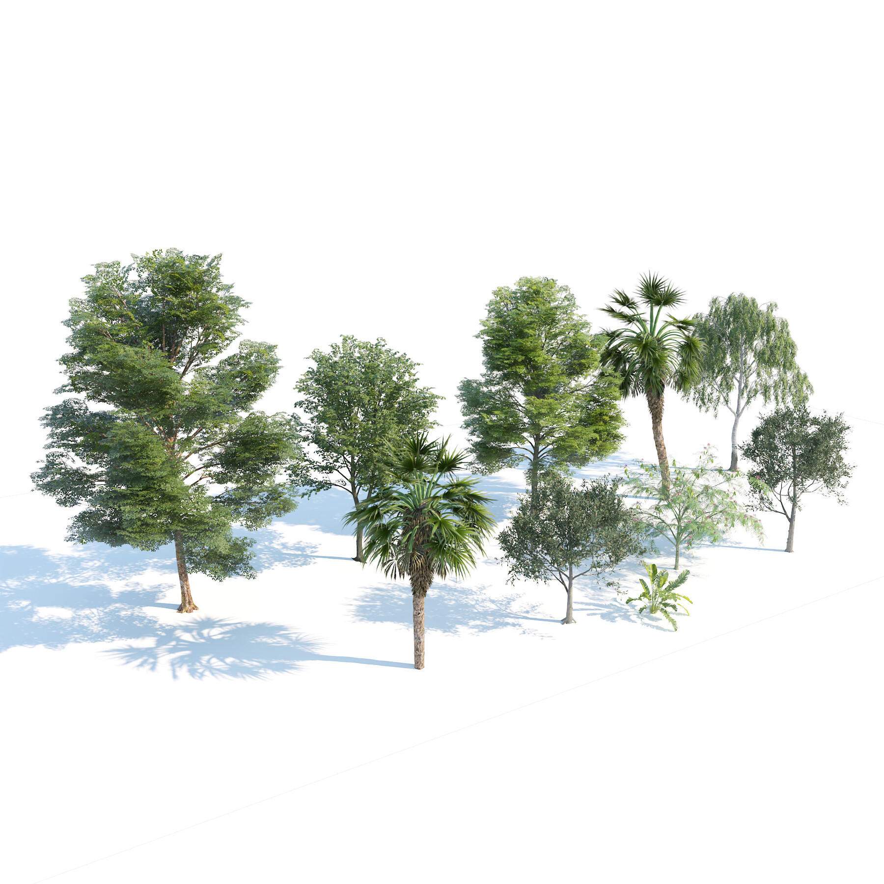 ArtStation - Park trees collection | Resources