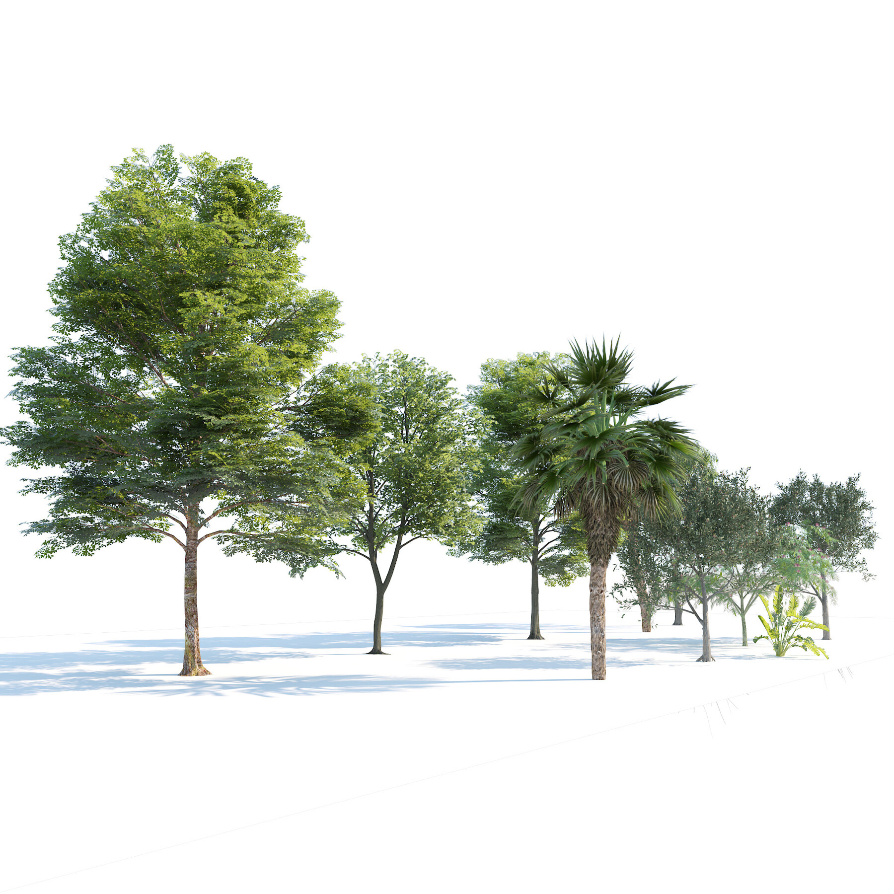 ArtStation - Park trees collection | Resources