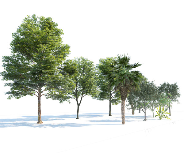 ArtStation - Park trees collection | Resources