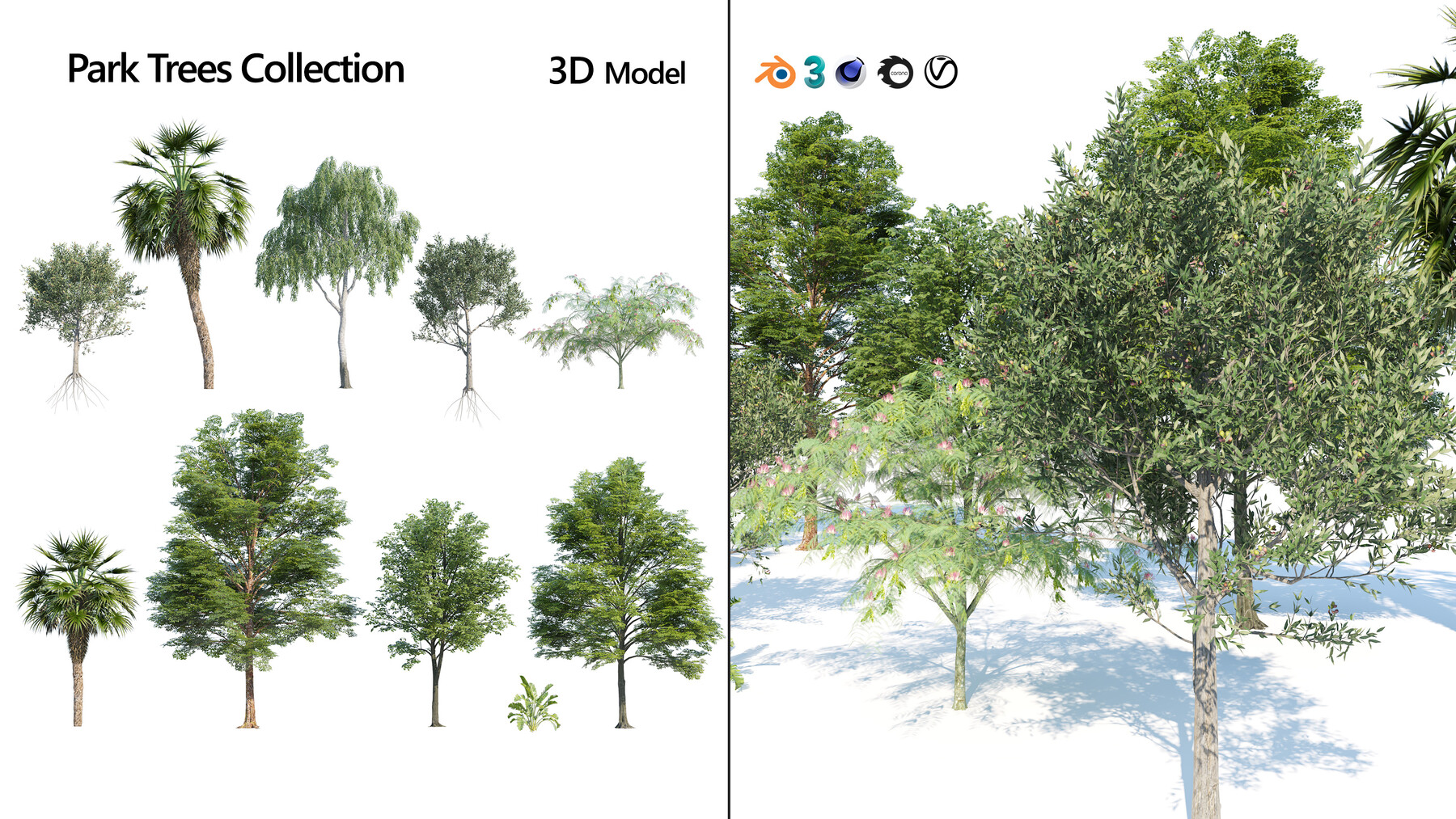 ArtStation - Park trees collection | Resources