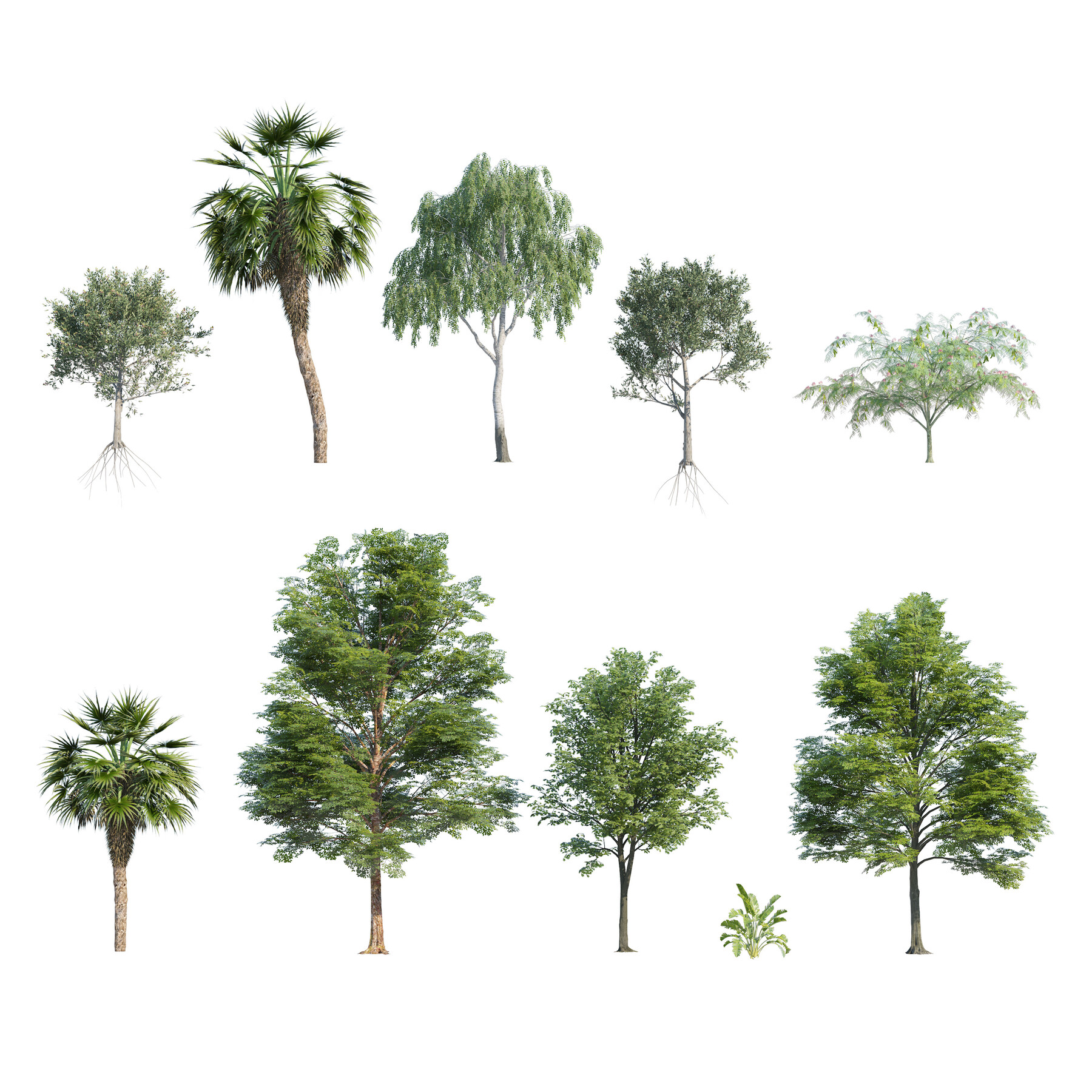 ArtStation - Park trees collection | Resources