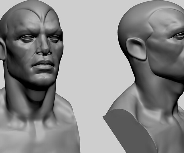 ArtStation - Base Male Head G | Resources
