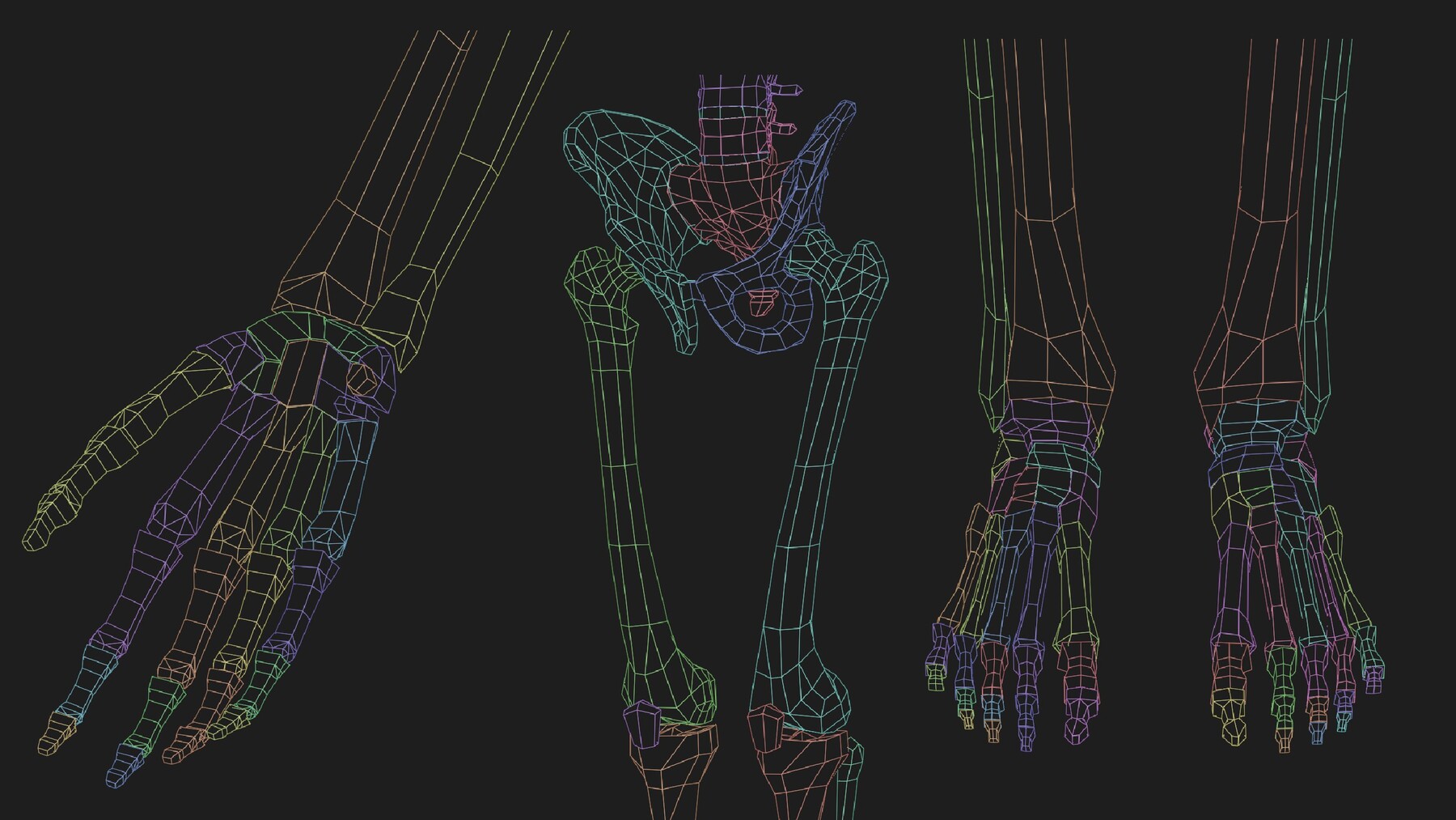 ArtStation - Low poly hand painted human Anatomy model | Resources