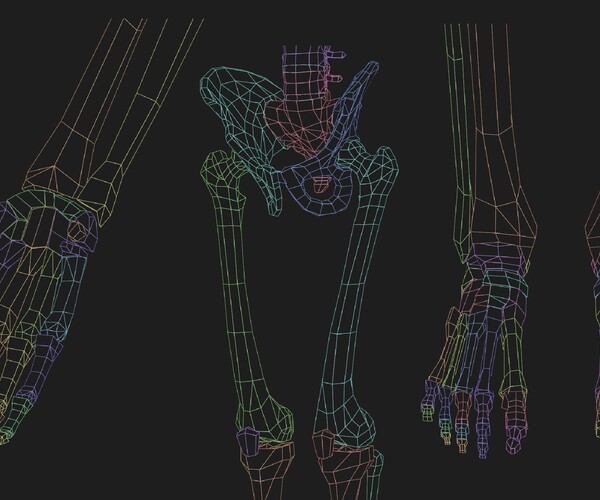 ArtStation - Low poly hand painted human Anatomy model | Resources