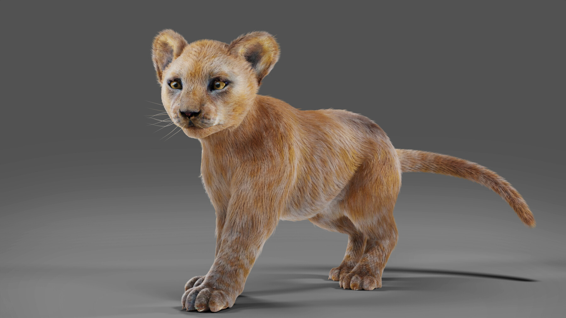 ArtStation - Fur Baby Lion Rigged and Animated in Unity | Game Assets