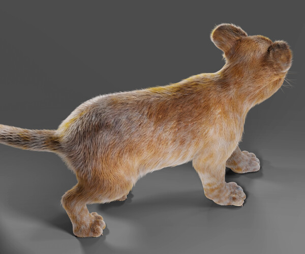 ArtStation - Fur Baby Lion Rigged and Animated in Unity | Game Assets