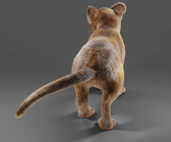 ArtStation - Fur Baby Lion Rigged and Animated in Unity | Game Assets