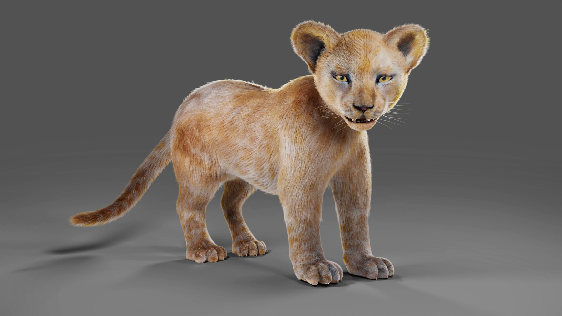 ArtStation - Fur Baby Lion Rigged and Animated in Unity | Game Assets