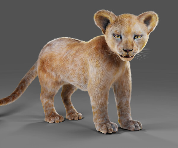 ArtStation - Fur Baby Lion Rigged and Animated in Unity | Game Assets