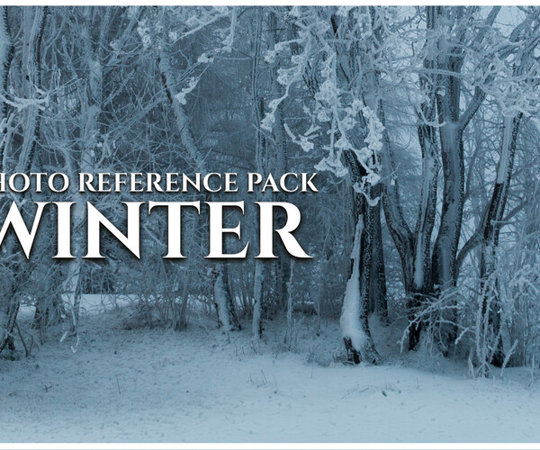 ArtStation - Winter - Reference Photo Pack For Artists 511 JPEGs noAI ...