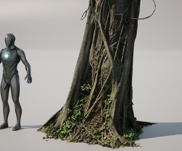 ArtStation - Banyan Tree Trunk Photogrammetry Scan 3D Model | Resources