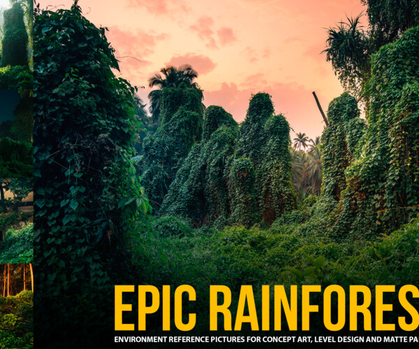 ArtStation - 440+ Epic Rainforest Reference Pictures | Resources