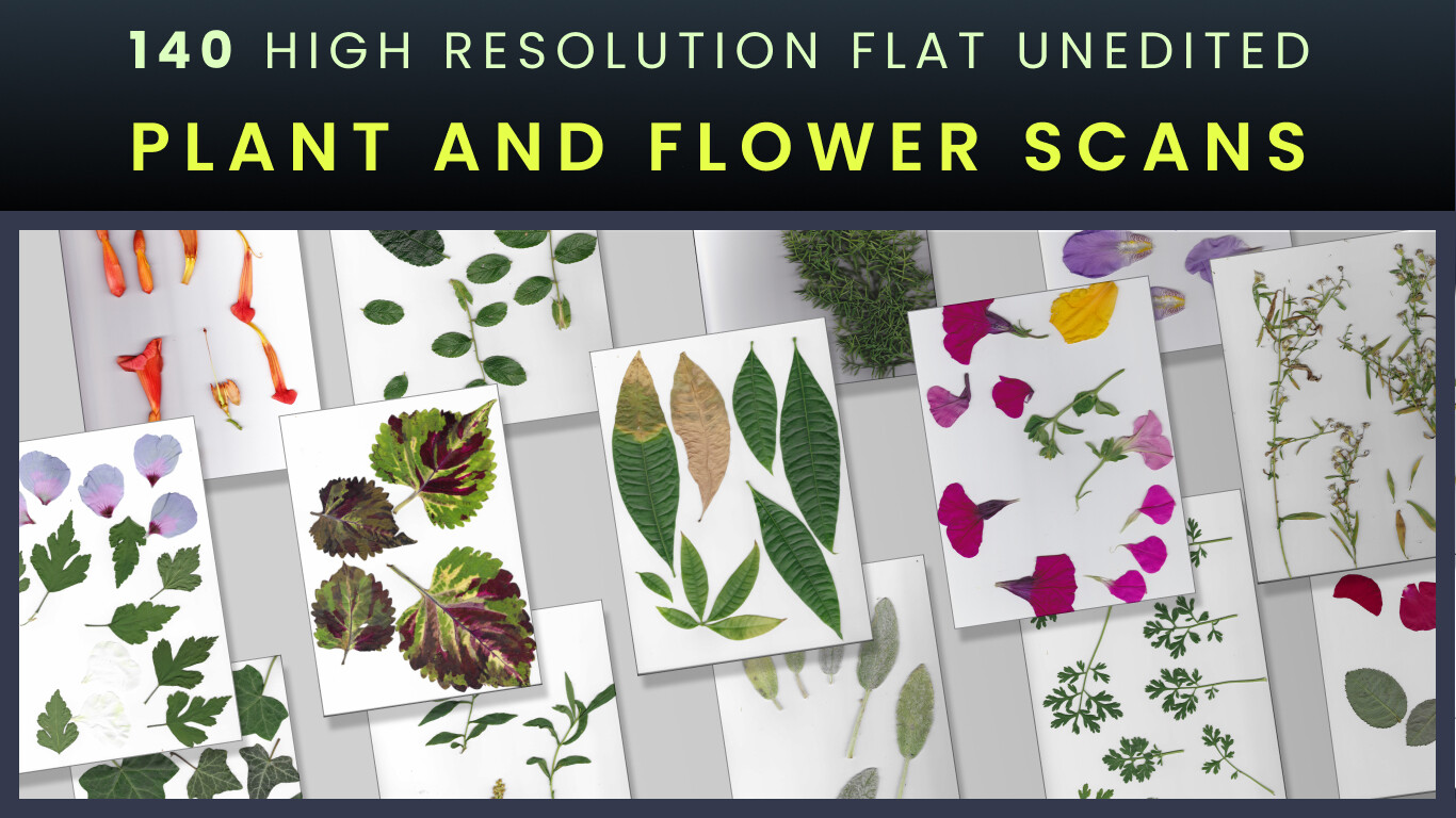 ArtStation - 140 Plant and Flower Scans | Resources