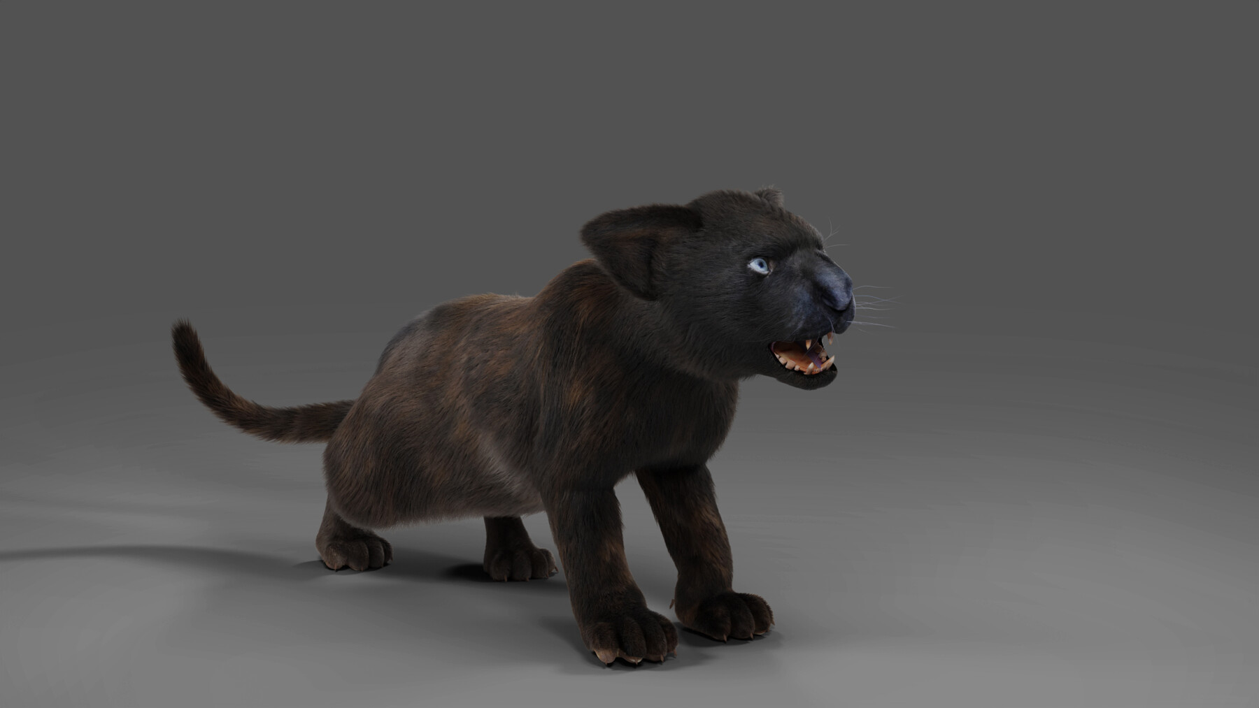ArtStation - Fur Baby Black Panther Rigged and Animated in Unity | Game ...