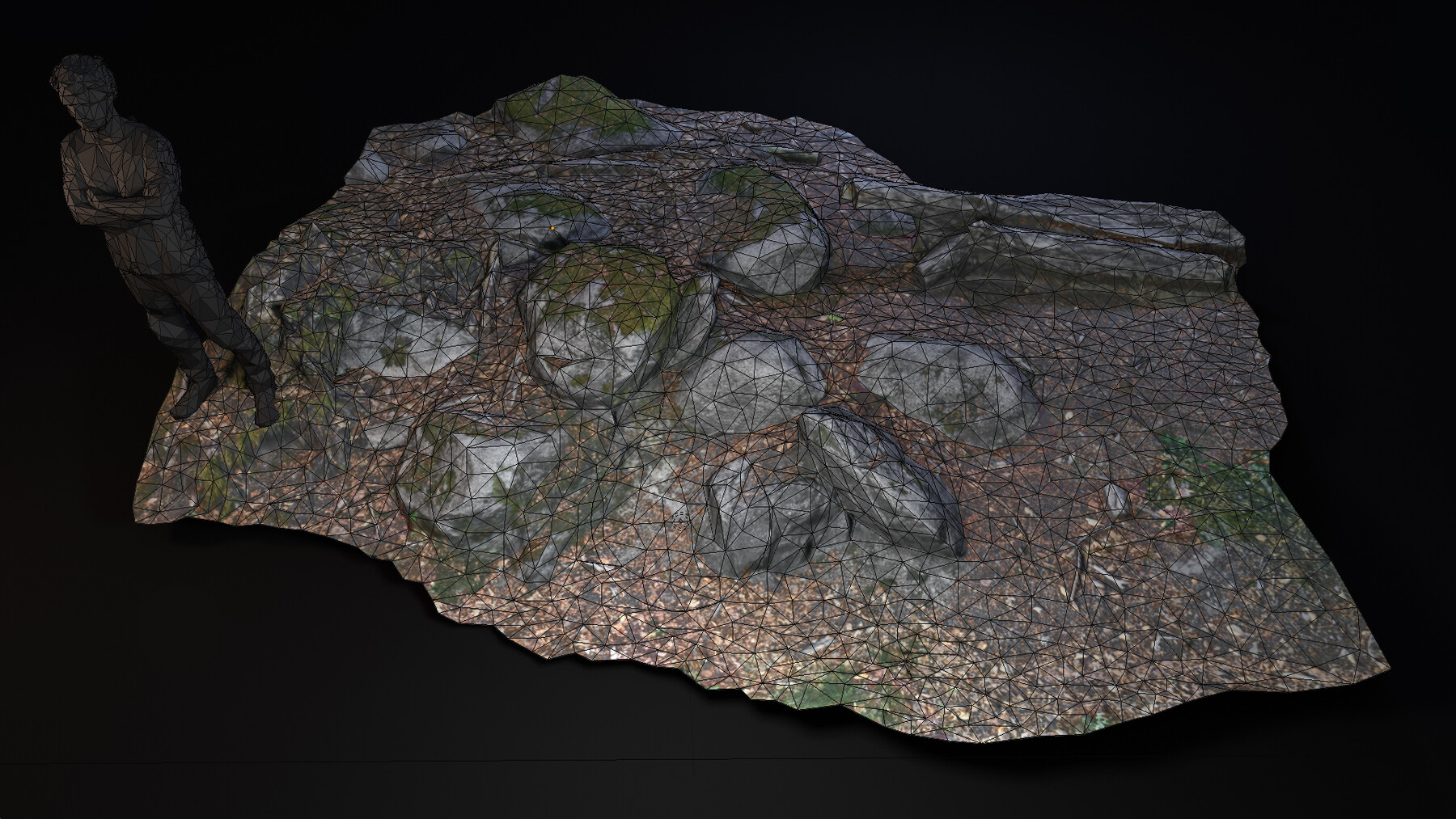 ArtStation - Beech forest ground 2 of 6 | Game Assets