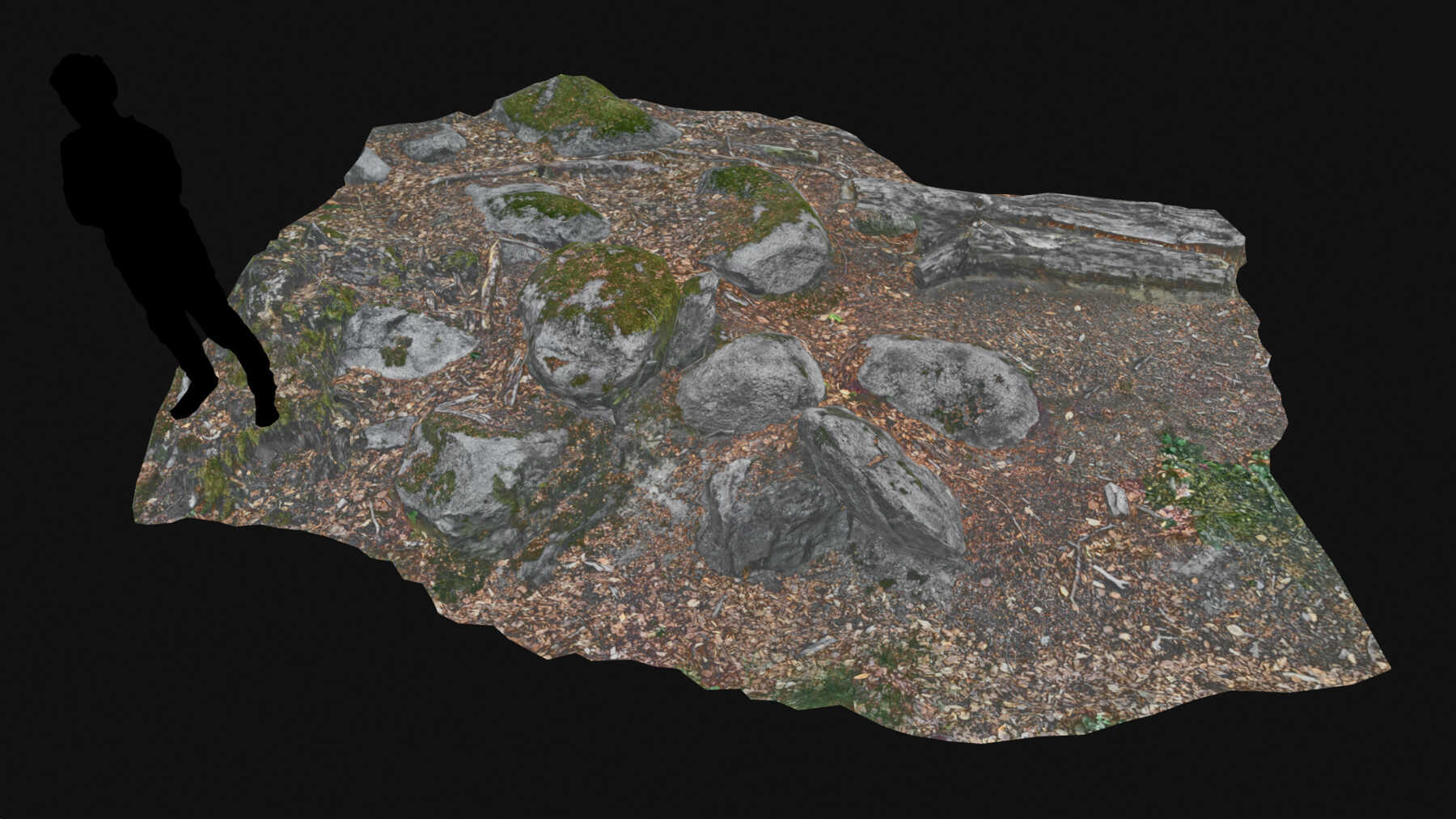 ArtStation - Beech forest ground 2 of 6 | Game Assets